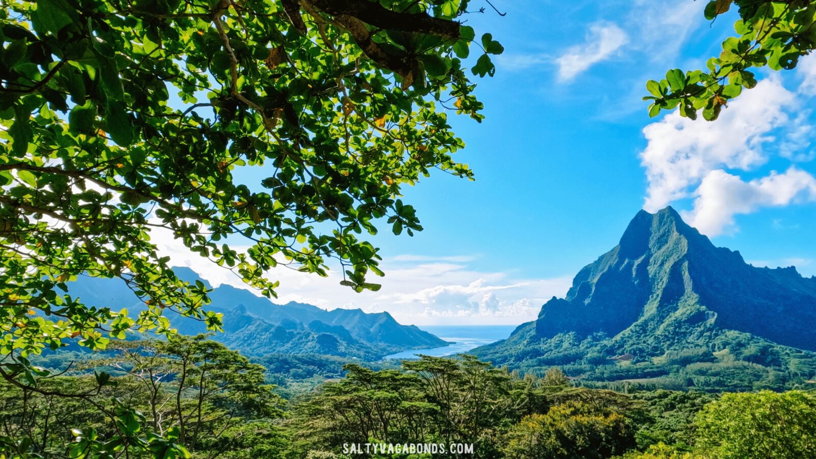 Best Things to Do in Moorea With Family on Vacation