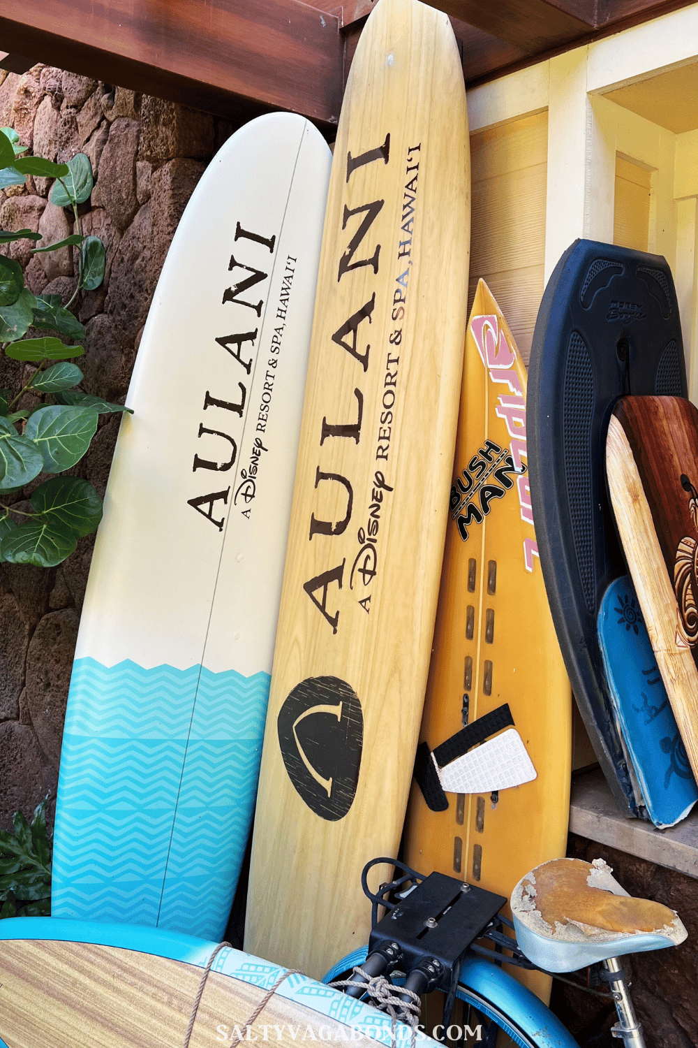 Top 10 Must Do’s at Disney Aulani Resort & Spa