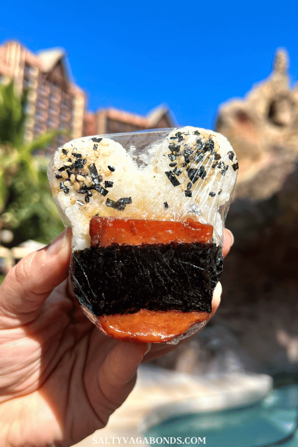 Top 10 Must Do’s at Disney Aulani Resort & Spa