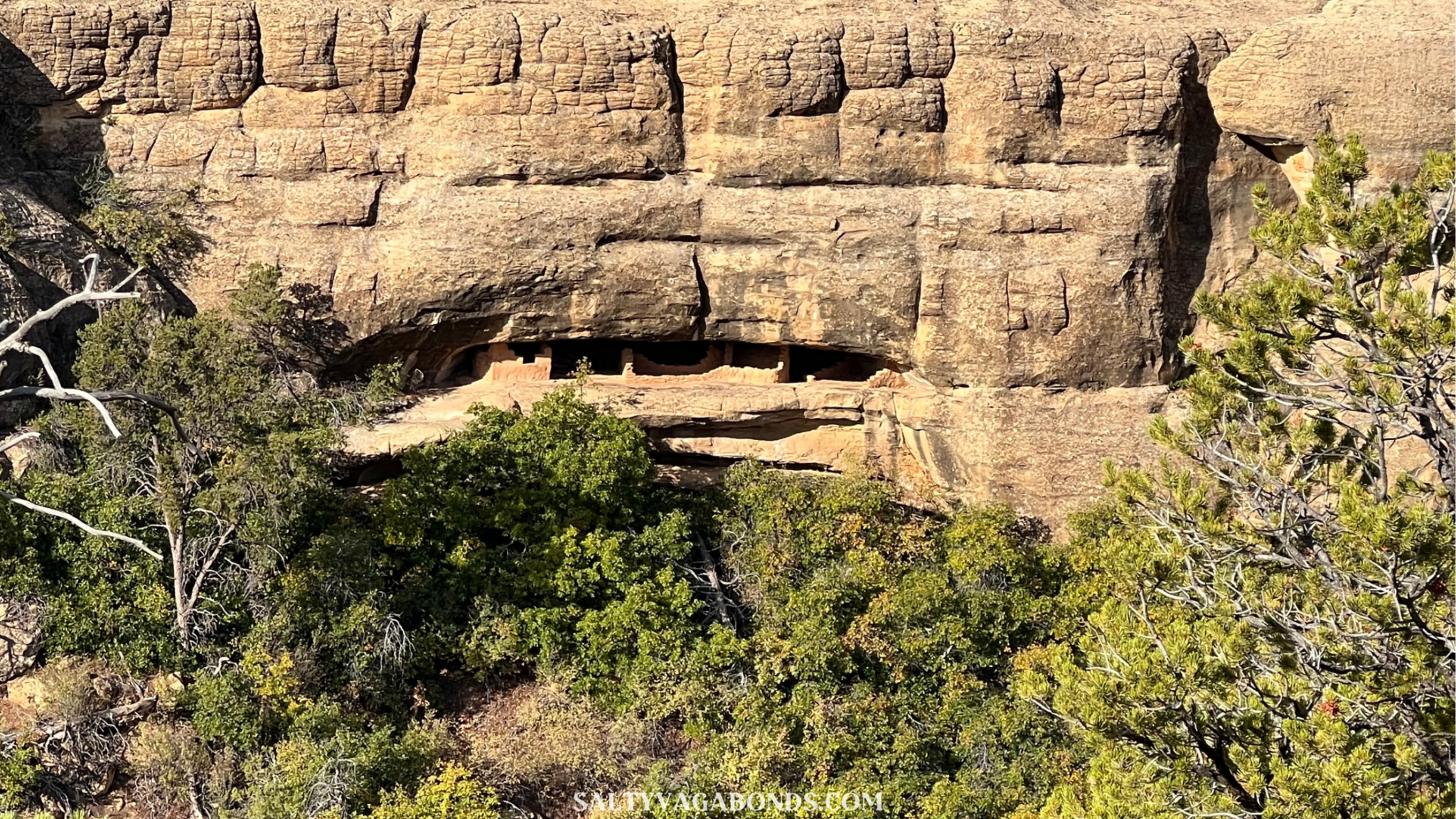 Things to do while visiting Mesa Verde National Park
