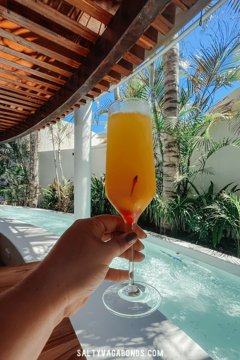 The #1 Beach Club in La Paz Mexico: Blue Cortés Costa Baja