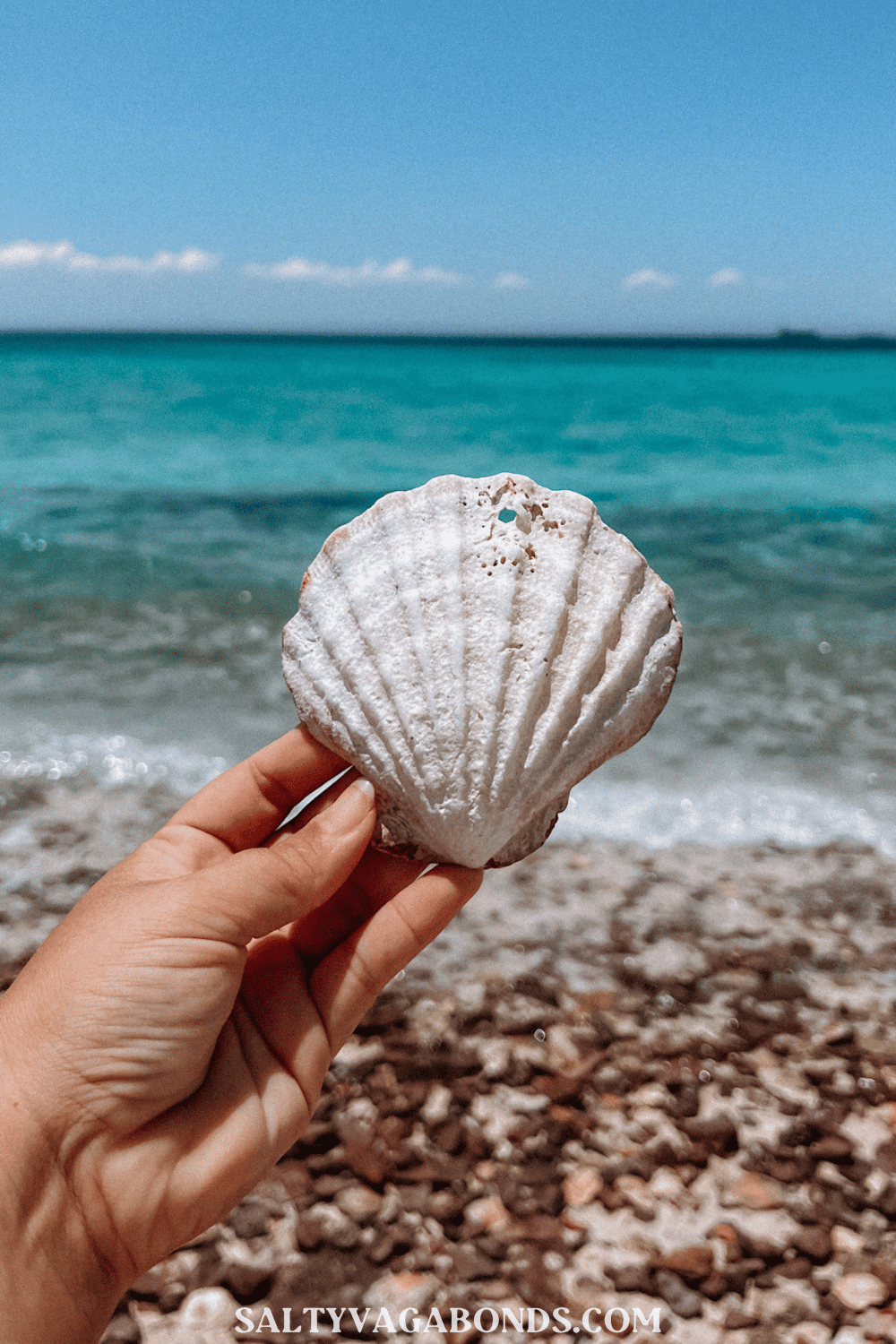 Do Not Miss this Secret Beach in Baja La Paz Mexico