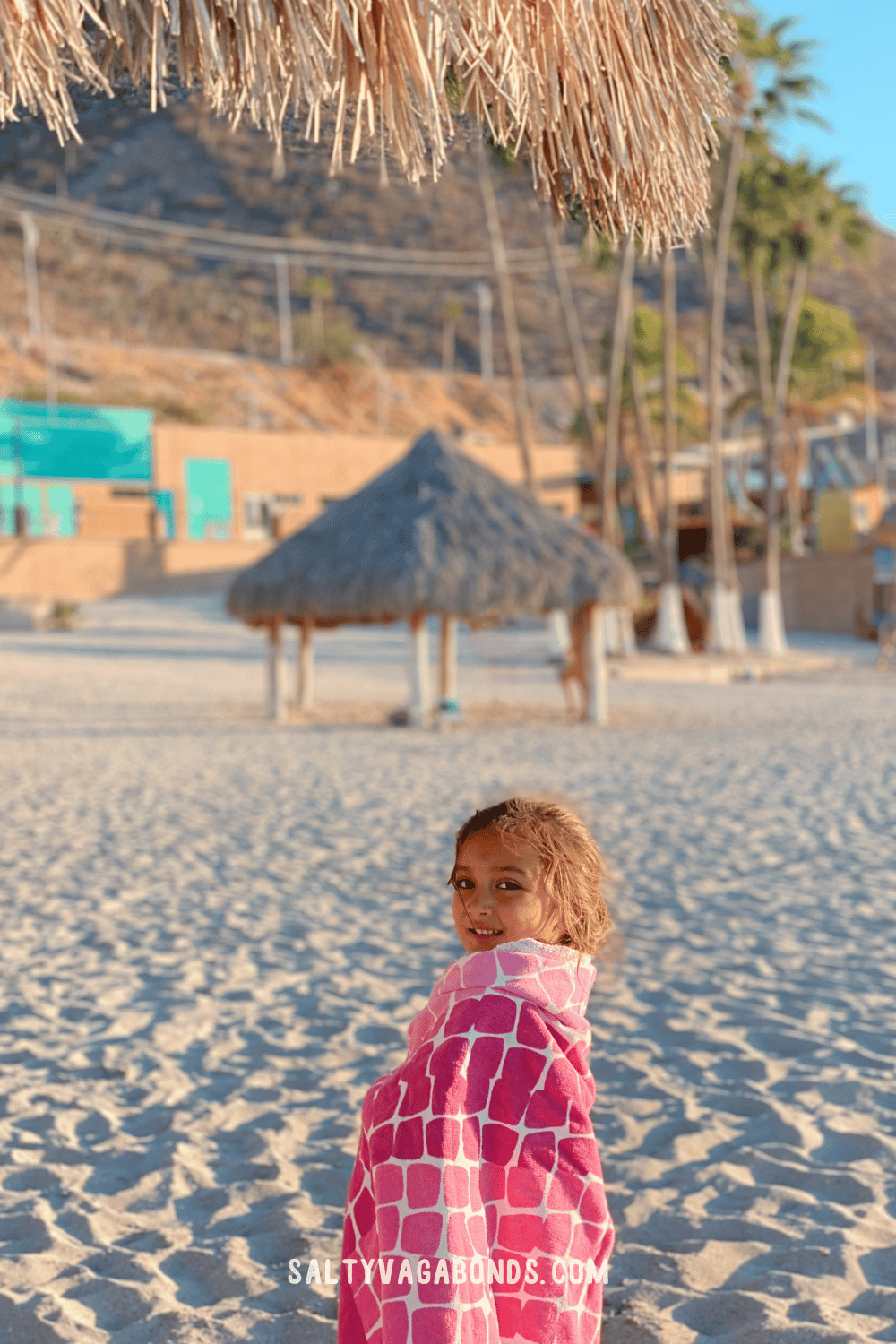 13 Best Beaches in La Paz Mexico from a Local!