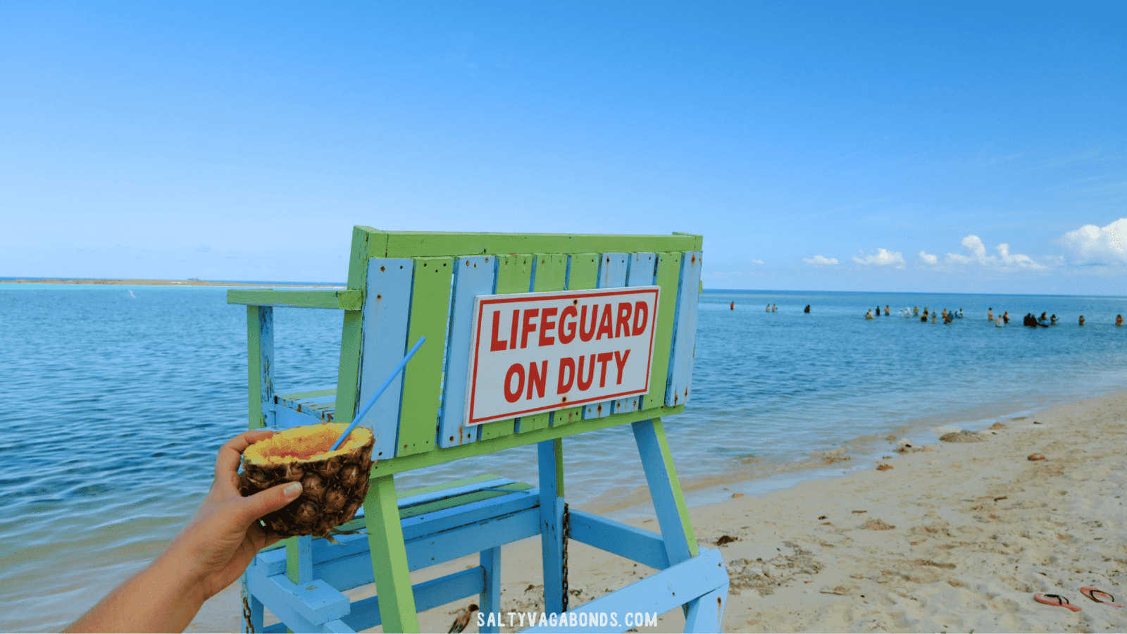 Swimming With Pigs While On The Margaritaville Cruise
