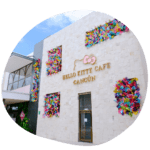 Hello Kitty Café in Cancun Mexico In-Depth Review