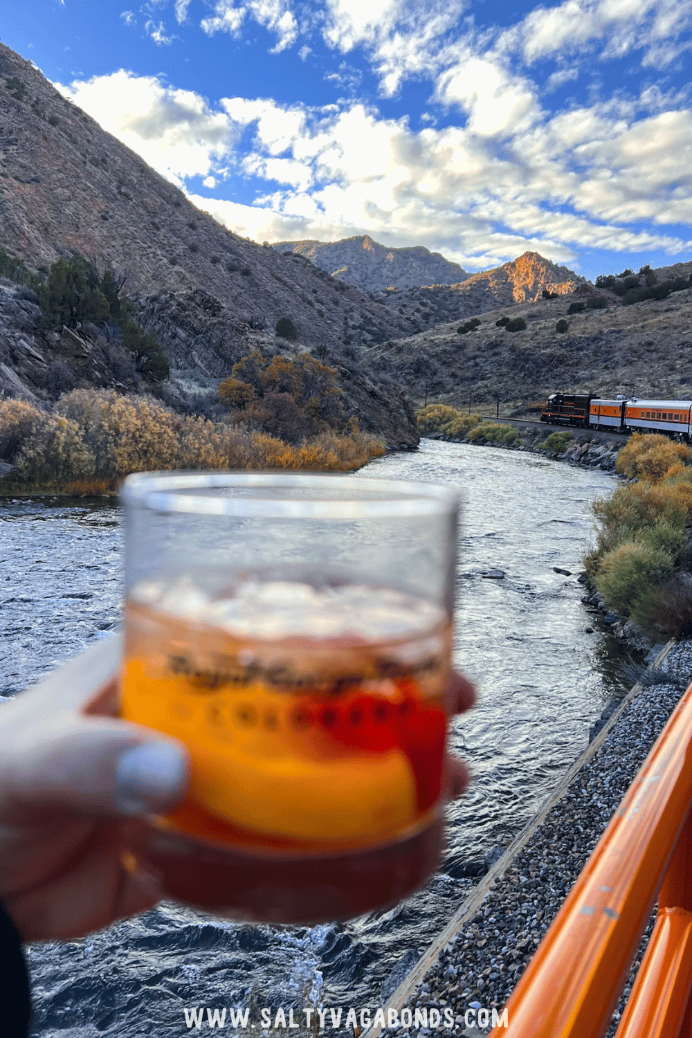 Colorado's Royal Gorge Railroad Train Ride Review