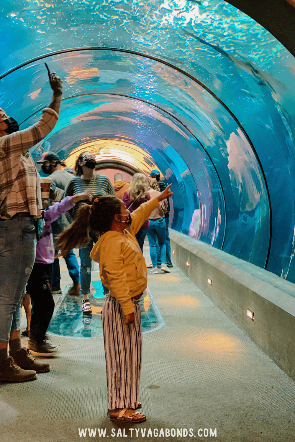Fun Things to do in Newport Oregon with Kids 2026