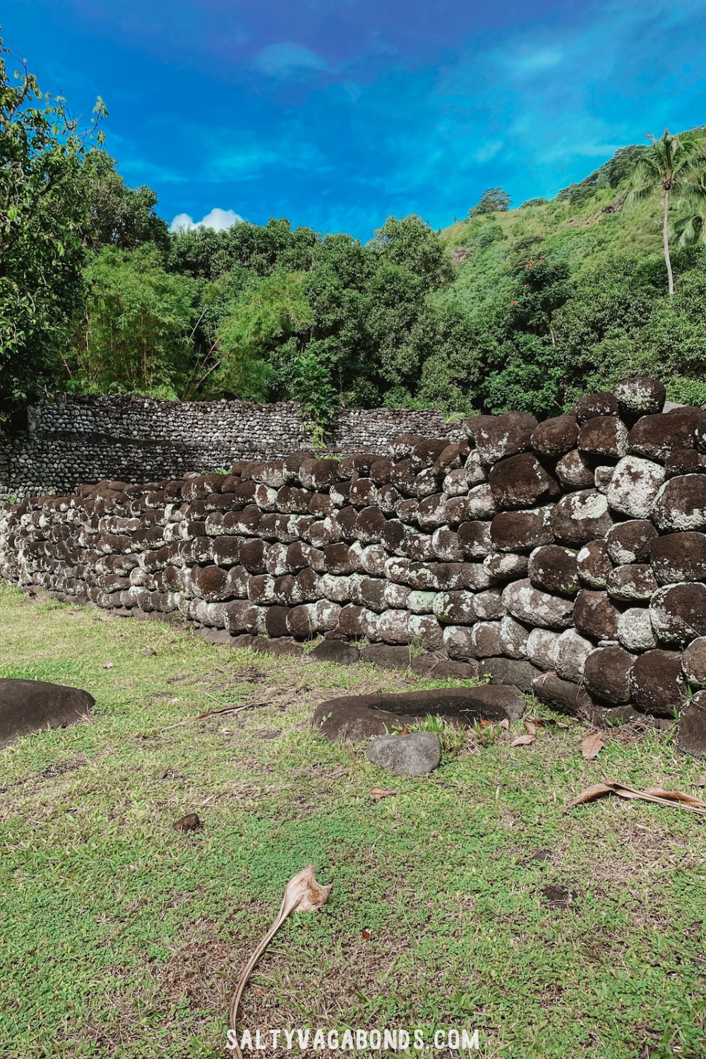 Our Top Family Favorite Things To Do In Tahiti!
