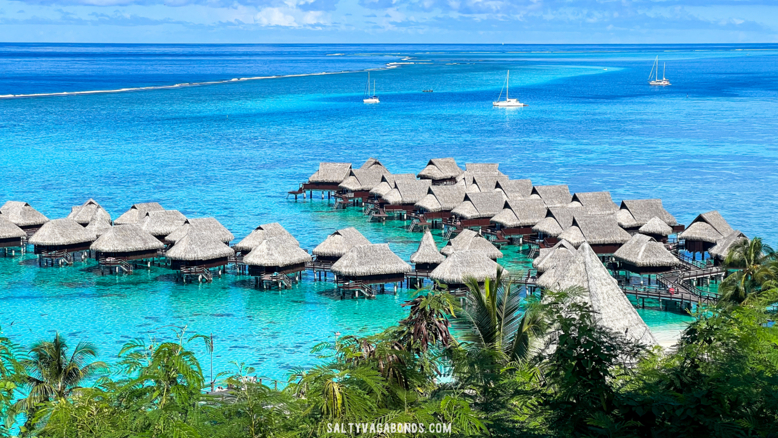 The Best Snorkeling Spots On Moorea For Families!