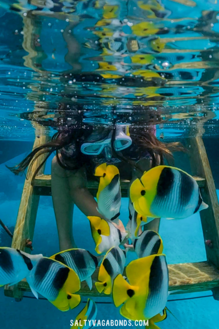 The Best Snorkeling Spots On Moorea For Families!