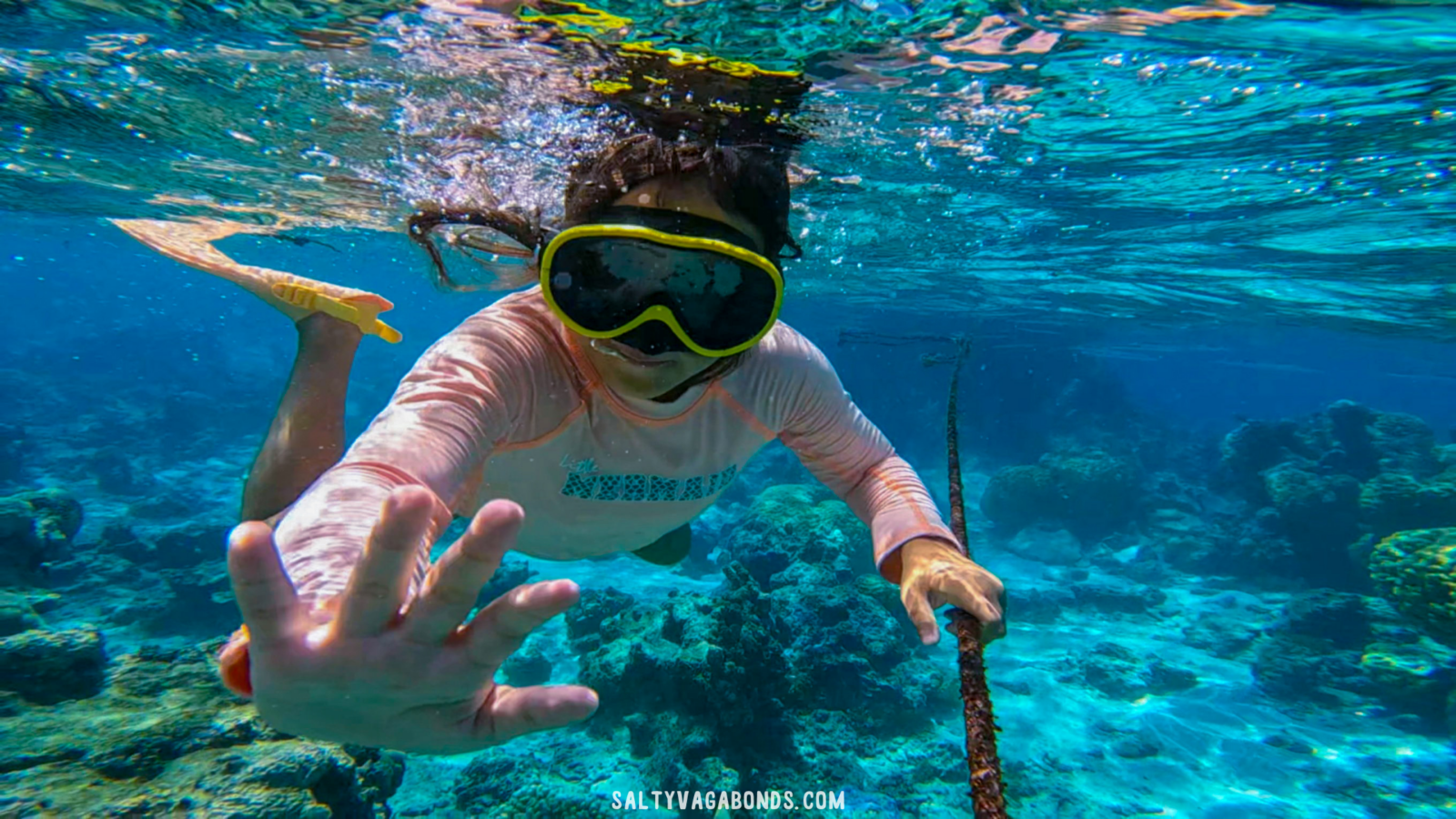 The Best Snorkeling Spots On Moorea For Families!