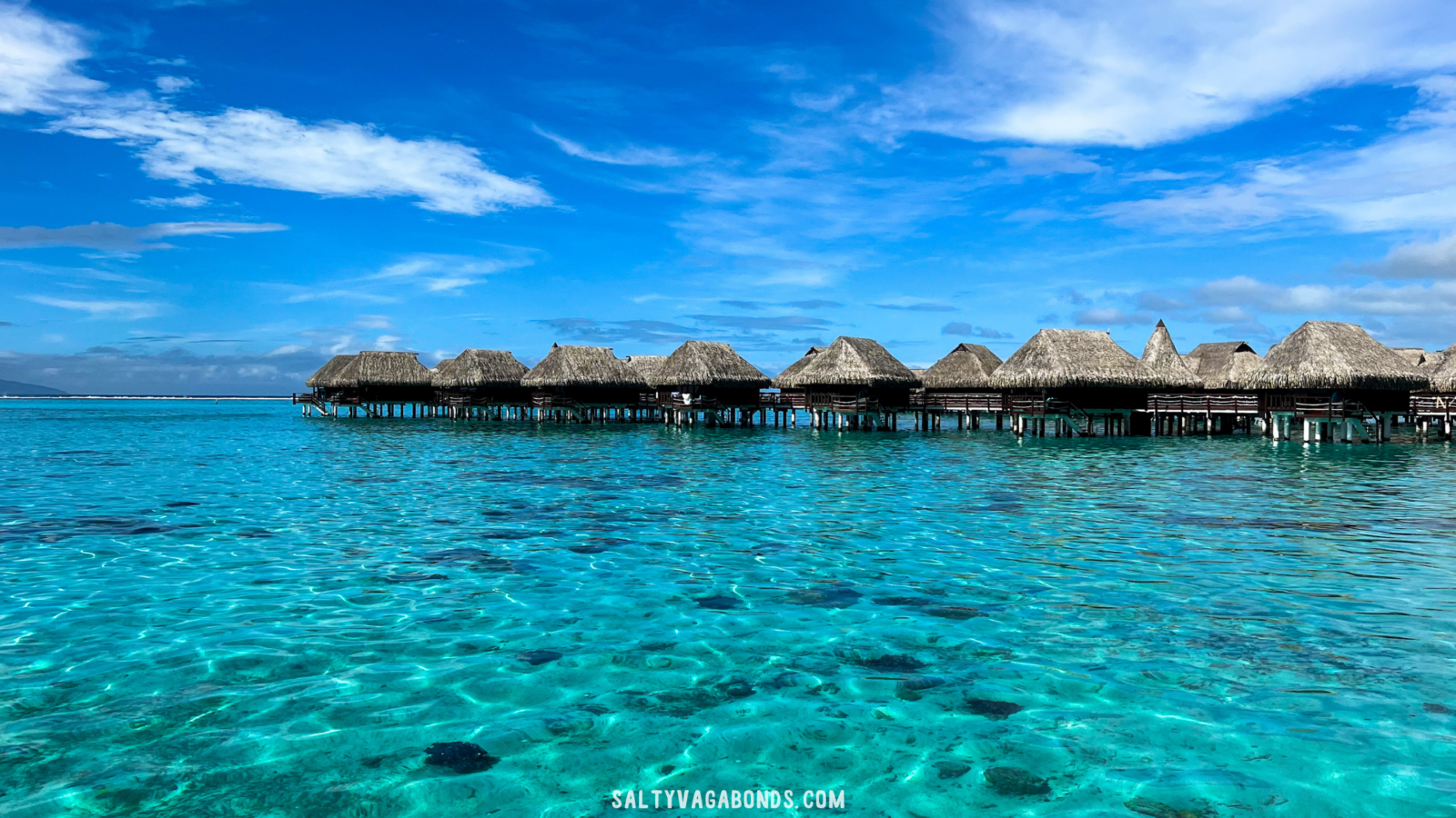 The Best Snorkeling Spots On Moorea For Families!