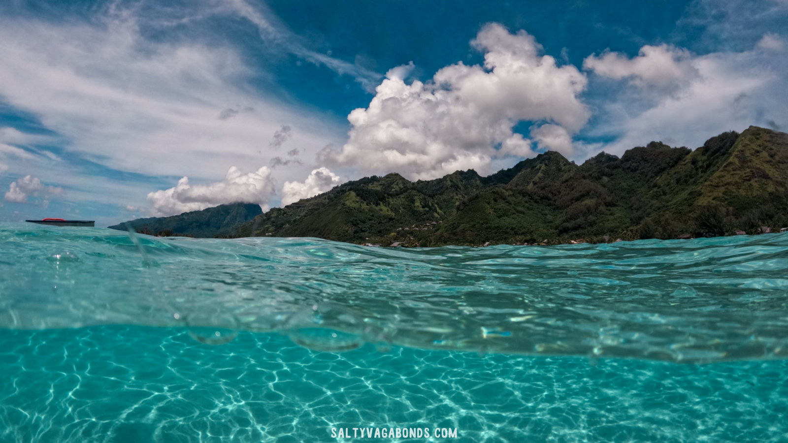 The Best Snorkeling Spots On Moorea For Families!