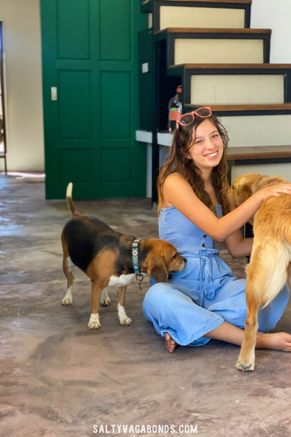 TrustedHousesitters Review: Honest 5 Year Experience