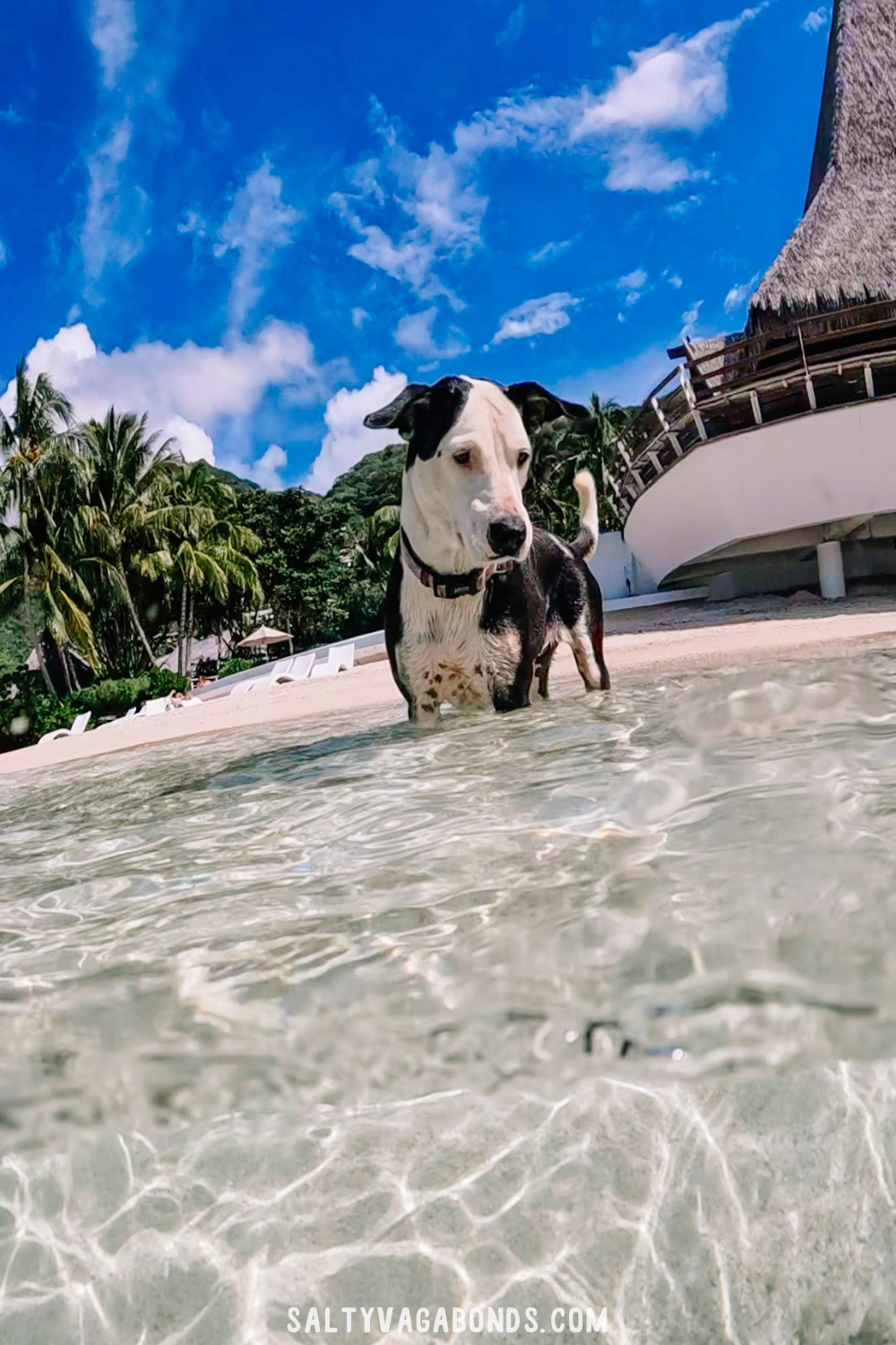 Best Things to Do in Moorea With Family on Vacation