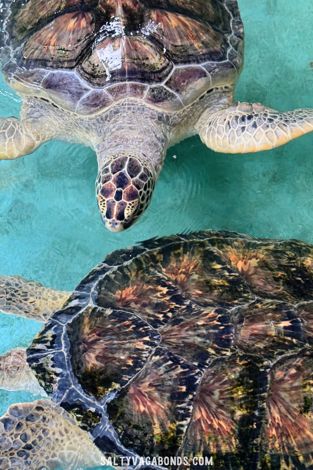 The Best Things To Do In Guam On A Family Vacation