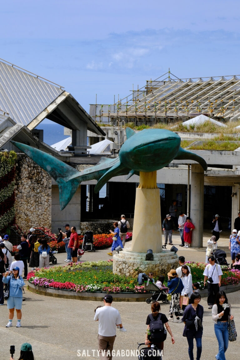 Okinawa Churaumi Aquarium: A Must-See in Japan!
